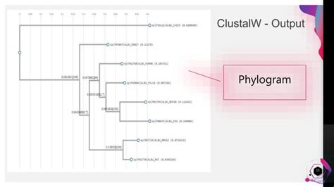 Clustal W Multiple Sequence Alignment Pptx Genetics Science