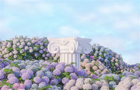 수국 꽃밭이 있는 제품 전시를 위한 자연의 아름다움 연단 배경 3차원 형태에 대한 스톡 사진 및 기타 이미지 3차원 형태 강단 개화기 Istock