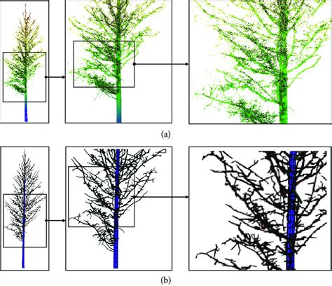 Qsm Reconstruction Tree Point Cloud A And Its Corresponding Model