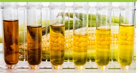 Biocombustíveis Membrane Specialists Llc