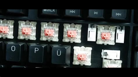 Wired Cherry G80 3000n Rgb Keyboard For Office Size Mini At Rs 1450 Piece In Hyderabad