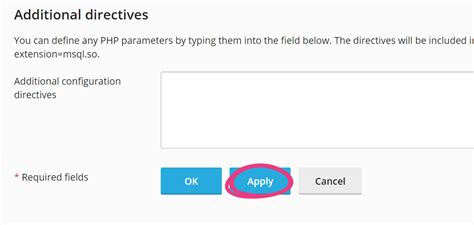 How To Increase The Php Max Upload Size In Plesk Pornx Vicetemple