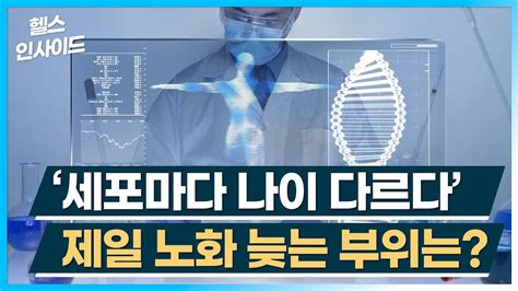 헬스인사이드 세포마다 나이 다르다 제일 노화 늦는 부위는 머니투데이방송 YouTube