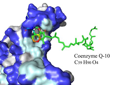 Ijms Free Full Text Mpls Pred Predicting Membrane Protein Ligand Binding Sites Using Hybrid