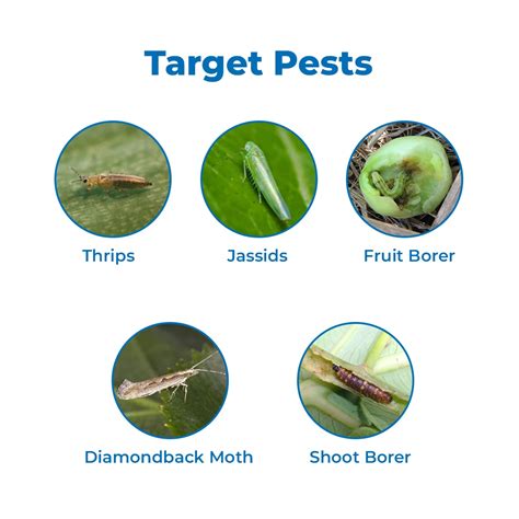 Indofil Alecto Insecticide Buy Online