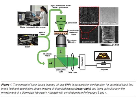 Laser Diode Under Microscope At Maria Kring Blog
