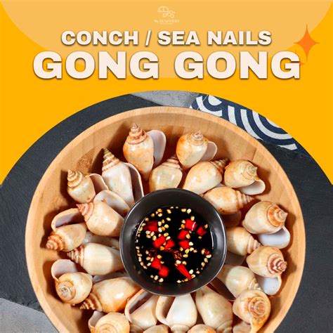 9s Seafood Gong Gong Conch 贡贡 Shopee Singapore