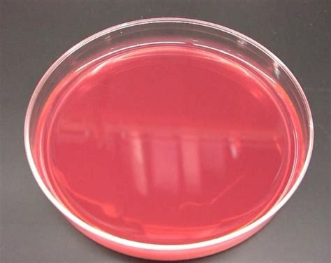 Selective And Differential Media For Identifying Microorganisms Theory