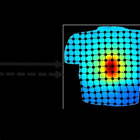 Summary Neural Network Pipeline Download Scientific Diagram