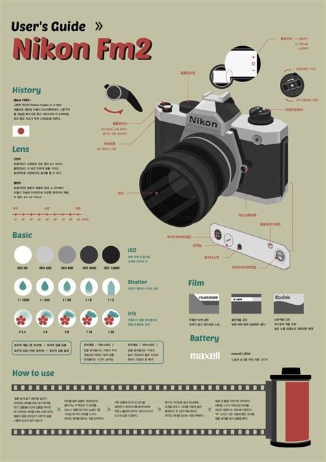 Infographic 인포 그래픽스 인포그래픽 포스터 디자인