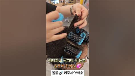 보브컷 웨이브 파마 손질법 사모님머리💞사모님머리파마컷트사모님파마 드라이보브컷보브단발 스타일링뷰티여자머리여자머리추천헤어스타일헤어haircut