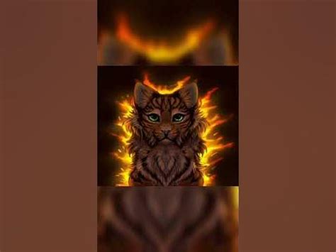 Коты воители /пока мы были молодыми/ Огнезвезд, Крутобок, Тенесвет ...