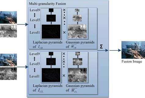 Process Of Multi Granularity Fusion Download Scientific Diagram