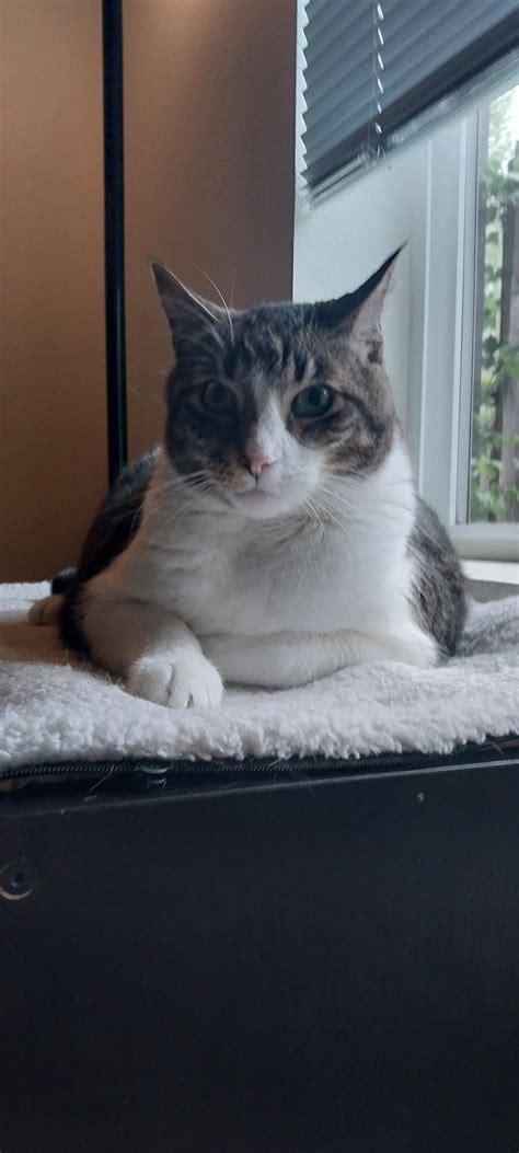 My Fat Hairy Pussy Rteenagersbuthot