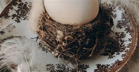 세련된 소박한 부활절 테이블 세팅 빈티지 접시 린넨 냅킨 오래된 나무에 음부 버드 나무 가지에 부드러운 깃털이 있는 둥지에 자연 부활절 달걀 시골 부활절 정물