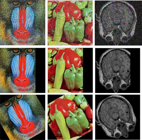 Different Images After Embedding And Rotation Cropping Or Gaussian Download Scientific Diagram