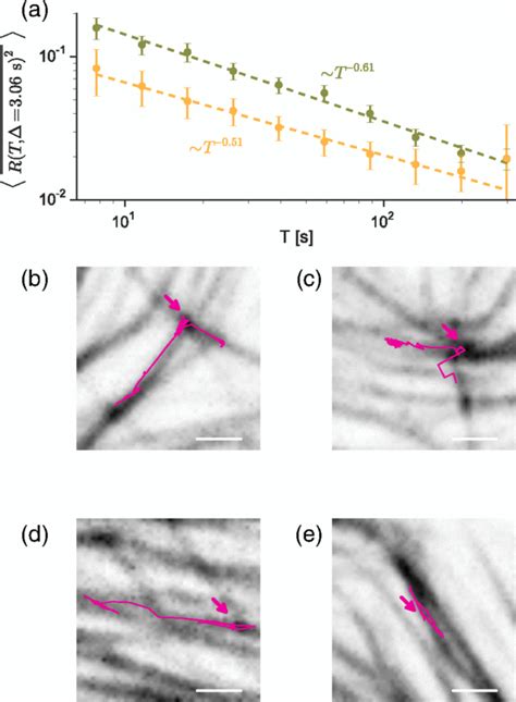 Experimental Trajectories Show Cycling A Trajectories Are Divided