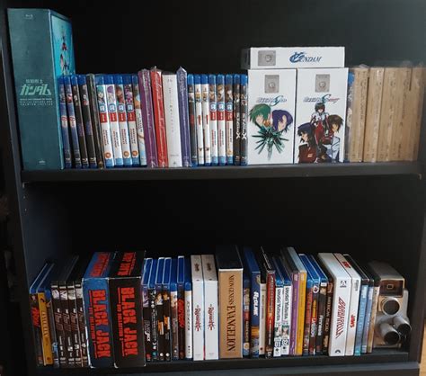 My Partial Collection Ranimecollectors