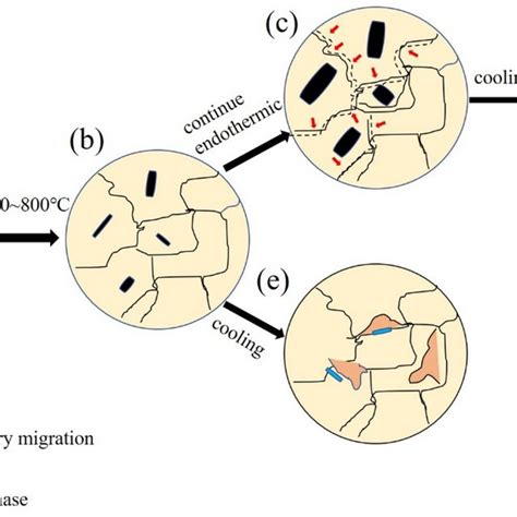 Schematic Diagram Of Microstructure Evolution Download Scientific Diagram