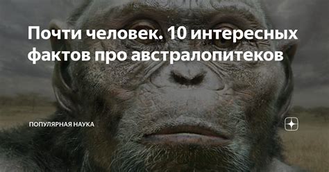 Почти человек 10 интересных фактов про австралопитеков Популярная наука Дзен