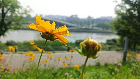 【azure Developer】使用 Microsoft Authentication Libraries Msal 如何来获取token呢 通过用户名和密码方式获取access