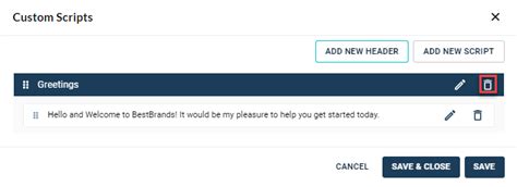 Delete Custom Scripts Or Header