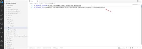 Effortless Text Extraction With Azure Ai Vision Sdk A Beginners Guide