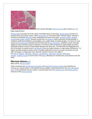 Animal tissueد حاتم البيطار القمة دحاتم pdf