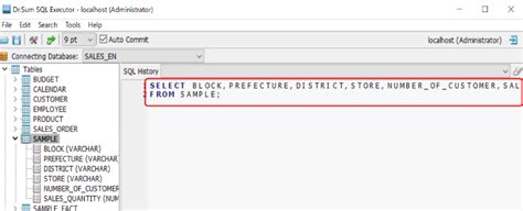 1 2 Execute Sql Statements