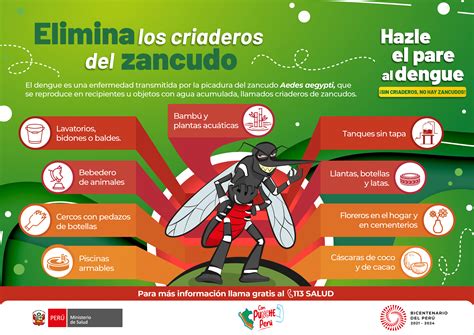 Epidemia De Dengue Pautas Y Cuidados Para Evitar Cuadros Graves Ojo