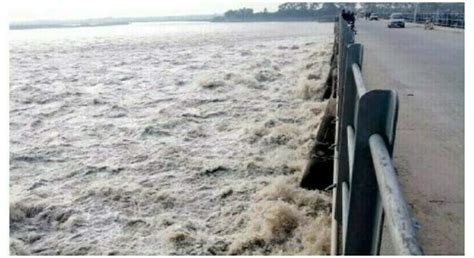 Sutlej River Faces Imminent Severe Flooding Villages And Crops At Risk