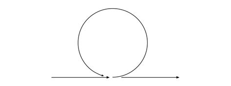 Loop Dee Doo Dougtrainer