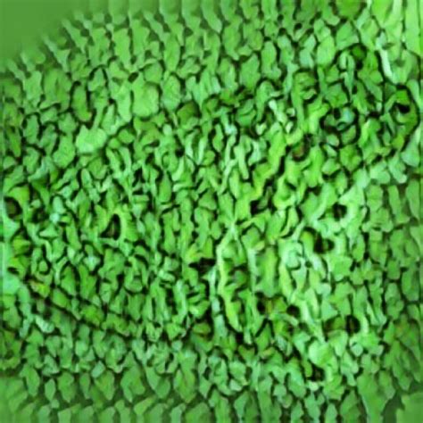 Yolo11 Test Object Detection Dataset And Pre Trained Model By Yolo11