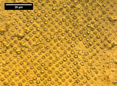 Fig A1 Laser Interference Patterning On Titanium In Liquid Co 2 At Download Scientific