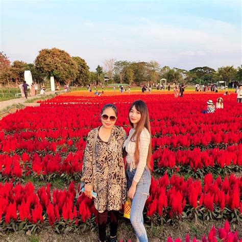 ๑๐๐ ไม่ใช่มัวแต่ไปกราบแต่พระ แต่เจ้า พ่อแม่ยังอยู่ ก็ไปกราบ ไปไหว้ ไปกราบให้มาก ๆ ให้บ่อย ๆ