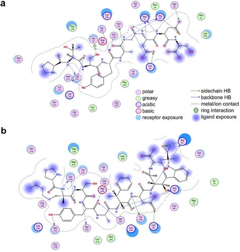Peptide Protein Interactions For The Original And Finally Accepted