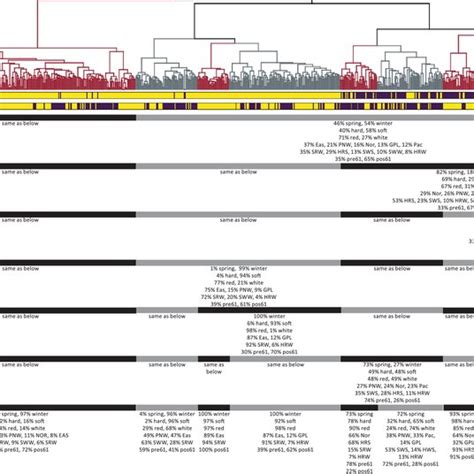 Hierarchical Clustering Of U S Wheat Varieties Using Euclidean