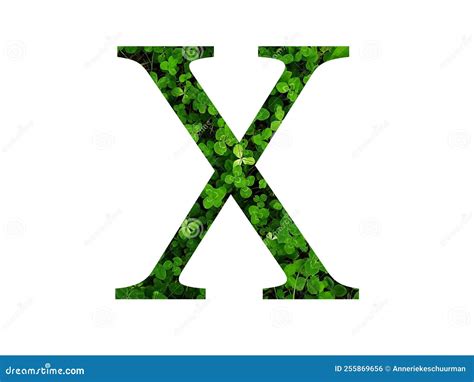 Letra X Do Alfabeto Feito Com Folha Verde De Um Campo De Trevo Foto De