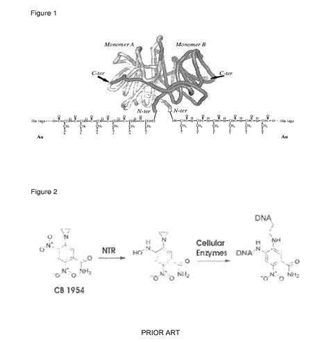 Drug Activation System Eureka Patsnap