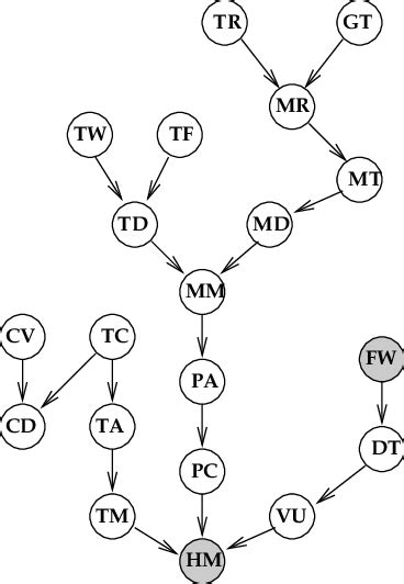 22 Node Polytree Adapted From The Example In 3 Used To Obtain