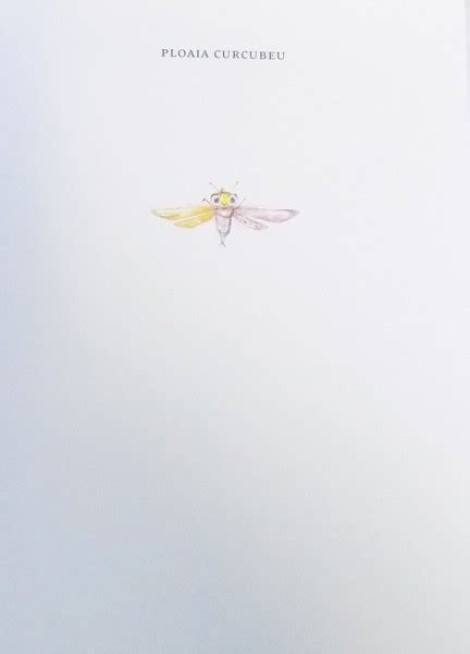 Ploaia Curcubeu De Andreea Iatagan Ilustratii De Ionut Robert Olaru 2017