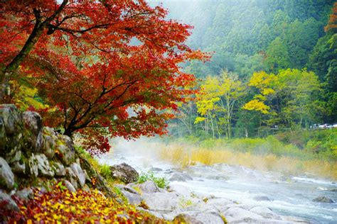秋の渓谷 GANREF