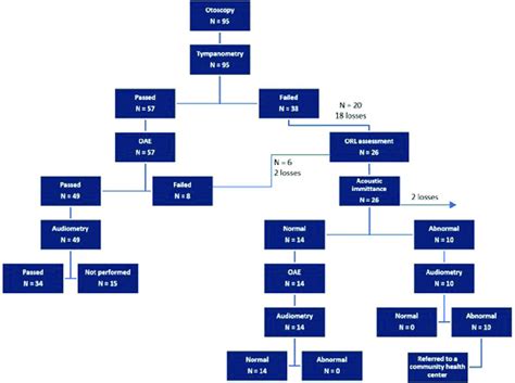 Flowchart Of The Research Procedures Protocol And Participants Distribution Download