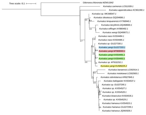 The Bayesian Inference Tree Inferred From The Combined Dataset Of Download Scientific Diagram