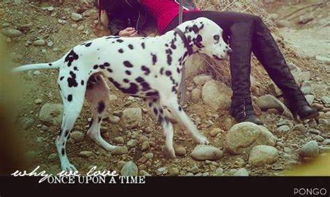 Pongo Once Upon A Time Best Tv Series Ever Ouat