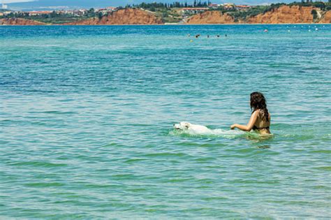 바다에서 수영하는 공과 여자와 그녀의 강아지의 아름다운 전망 그리스 개에 대한 스톡 사진 및 기타 이미지 개 관광 관광