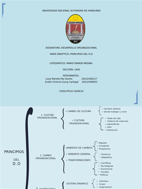 Mapa Sinoptico Desarrollo Organizacional Pdf