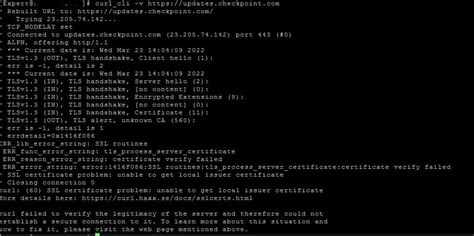 Ips Update Fails Check Point Checkmates