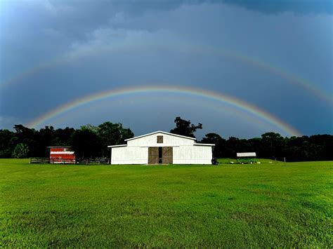 Eze Pet Lodge Eze Pet Lodge Added A New Photo