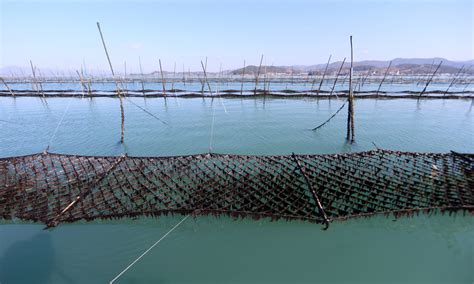 김·굴·전복·넙치 국가대표 양식수산물로 육성세계인 식탁 점령한다 이투데이